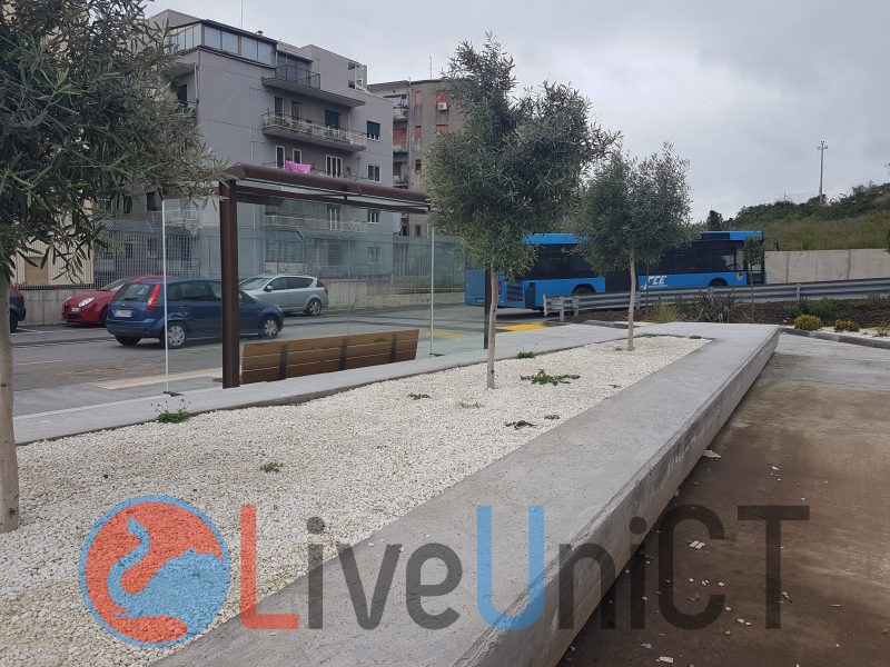 UNICT – Abbonamenti FCE-AMT gratuiti per studenti: le ultime novità – LiveUnict