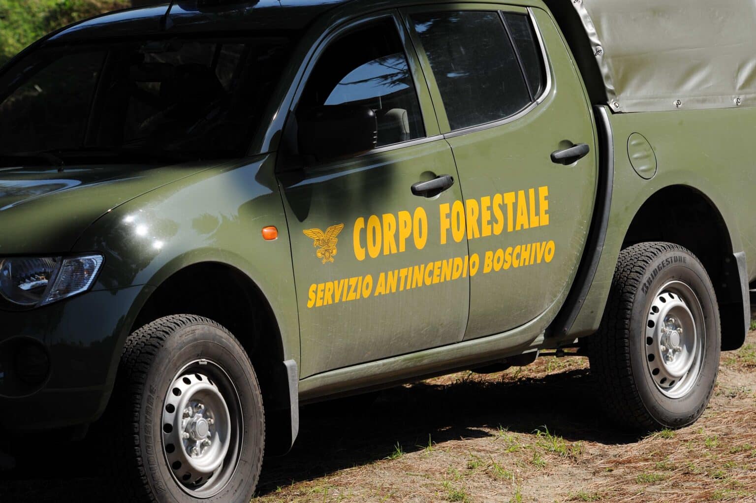 Guardia Forestale Sicilia: 600 assunzioni in arrivo – LiveUnict